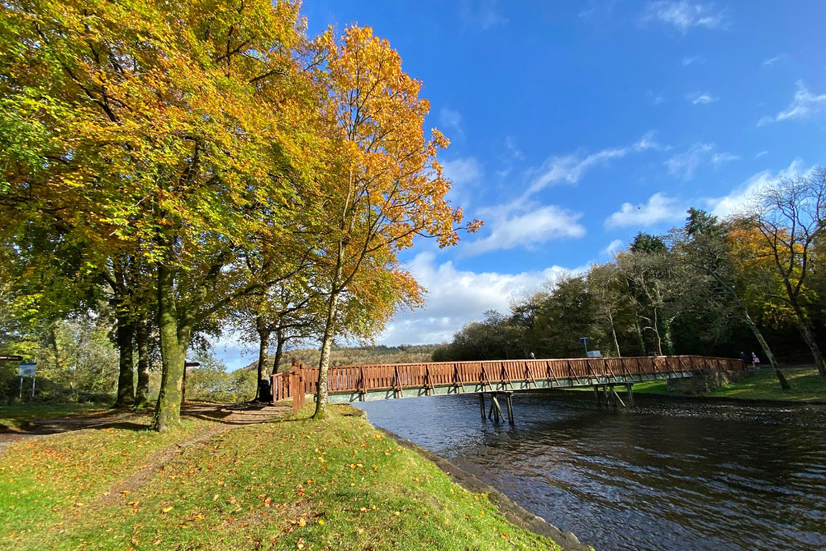 Killykeen Forest Park: A Year-Round Natural Sanctuary in Ireland