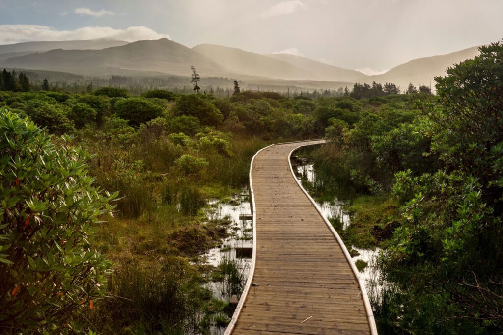 Wild Nephin Ballycroy National Park: Discover Ireland’s Great ...